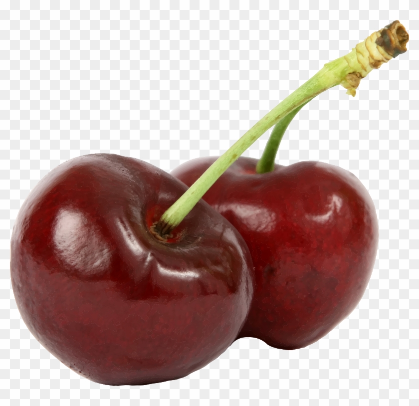 Medium Image - Cherry Fruit Pdf, HD Png Download - 800x734(#1490883 ...