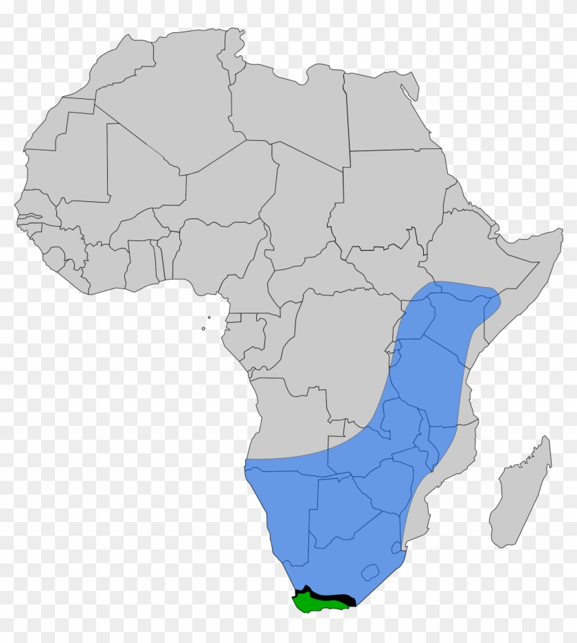 Cape And African Honey Bee Range - Africanized Honey Bee Africa Map, HD ...