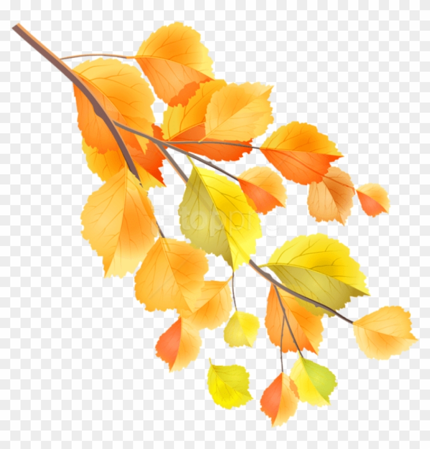 Download Autumn Branch Clipart Png Photo - Fall Branches Clip Art Png ...