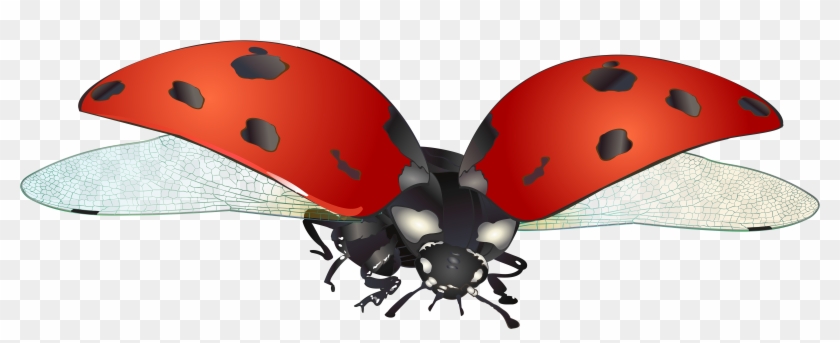 Flying Ladybug Png, Transparent Png - 6000x2285(#151787) - PngFind