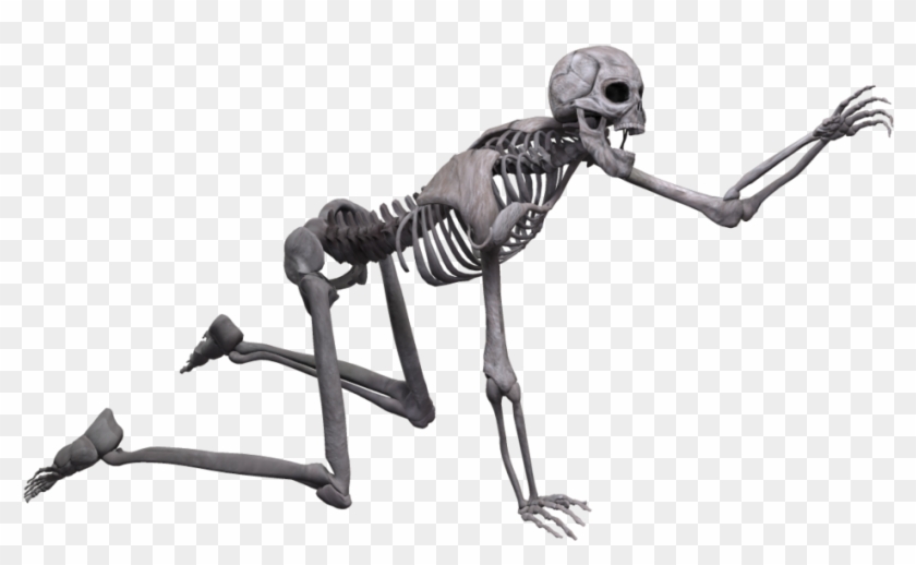 Running Skeleton Png - Transparent Skeleton Png, Png Download ...