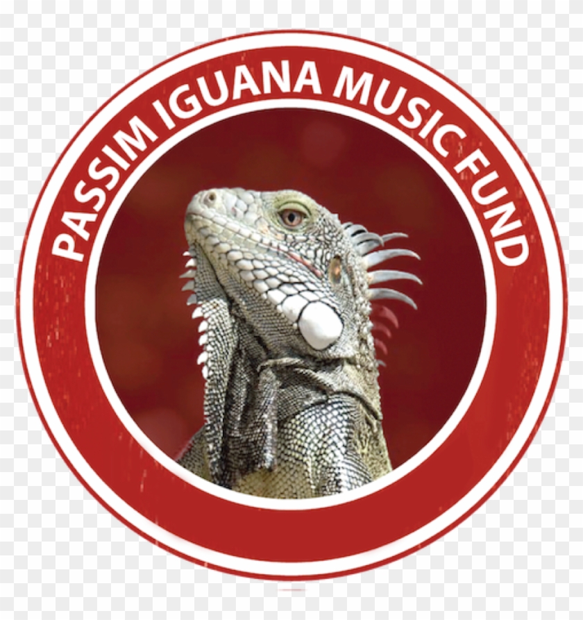 Iguana Png - Iguana Logo, Transparent Png - 925x940(#1510504) - PngFind