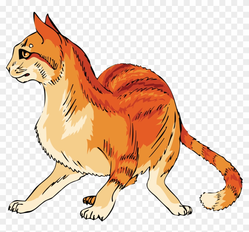 Orange Cat Clipart Free