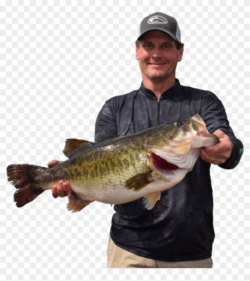 Angler - Texas Big Largemouth Bass, HD Png Download - 1204x1294 ...