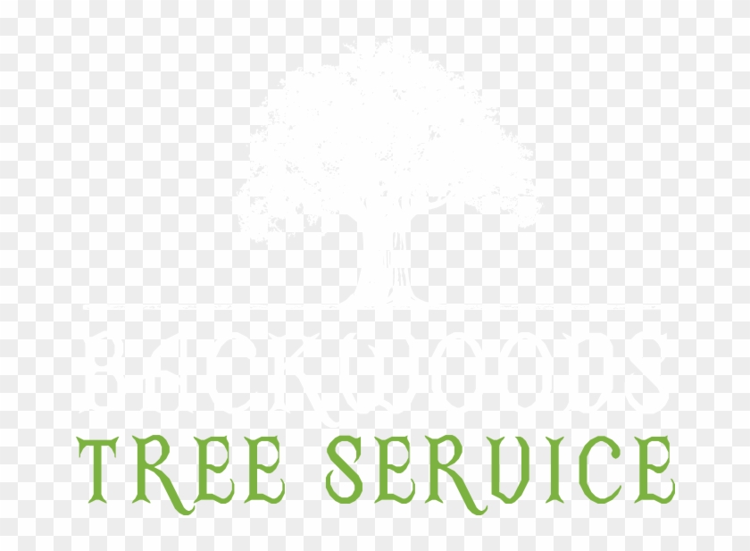 Backwoods Tree Service Logo - Tree, HD Png Download - 672x537(#1566894 ...