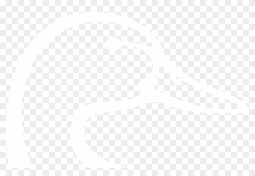 Logo Du Duc Png Duck Logo PNG Images, Duck Logo Transparent Background