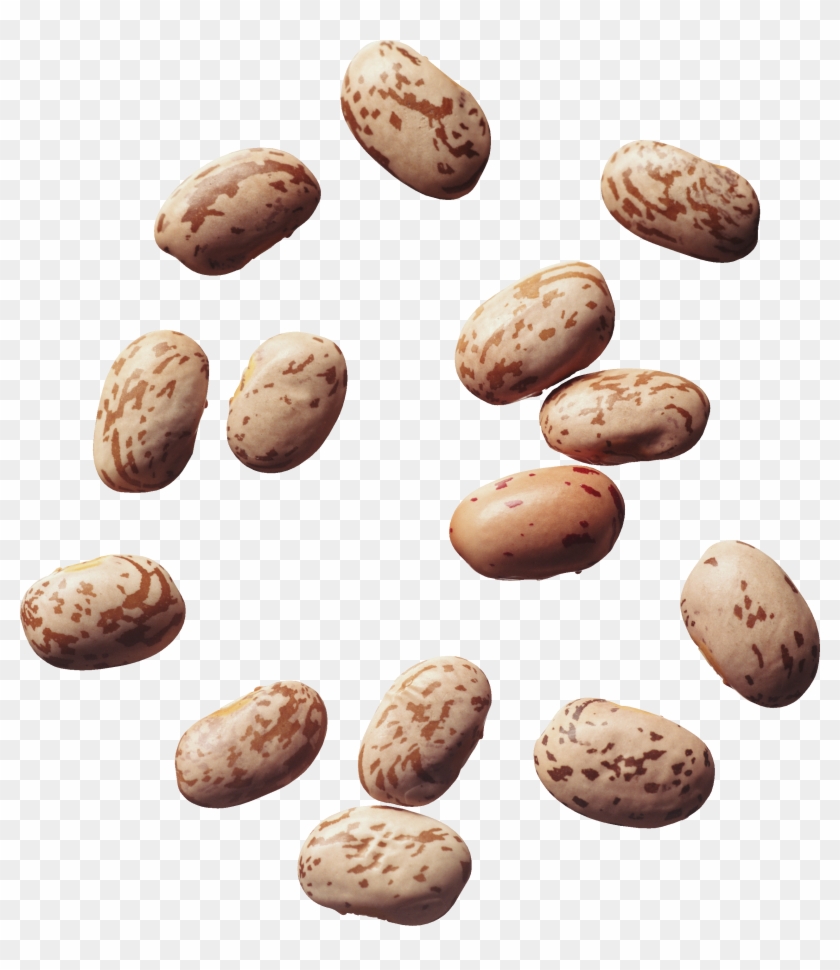 Beans - Pinto Bean No Background, HD Png Download - 866x650(#165936 ...
