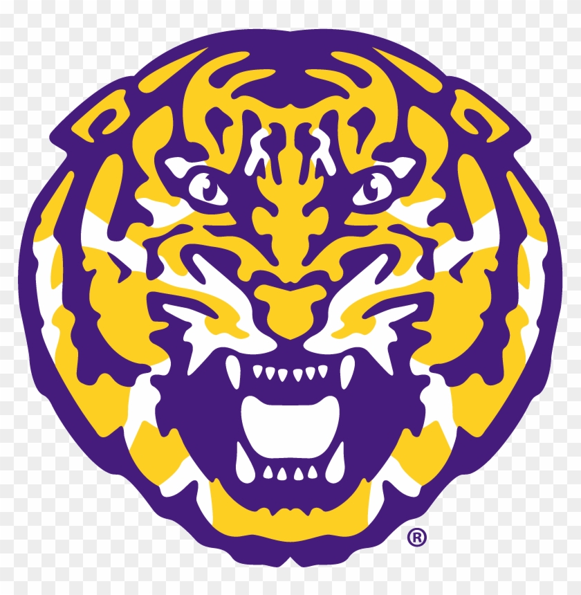 Ncaa Logo Png, Transparent Png - 800x800(#1609907) - PngFind
