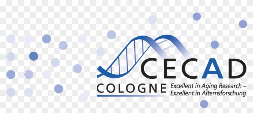 Cecad Cologne, HD Png Download - 1200x630(#1636484) - PngFind