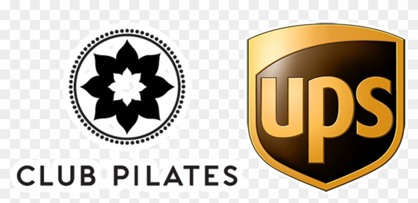 Michael Solomon's Professional Profile - Club Pilates White Logo Png ...