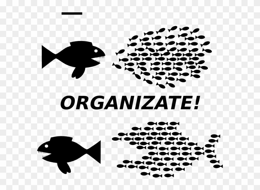 Organize Fish Picture Clip Art - Labor Union Slogans, HD Png Download ...