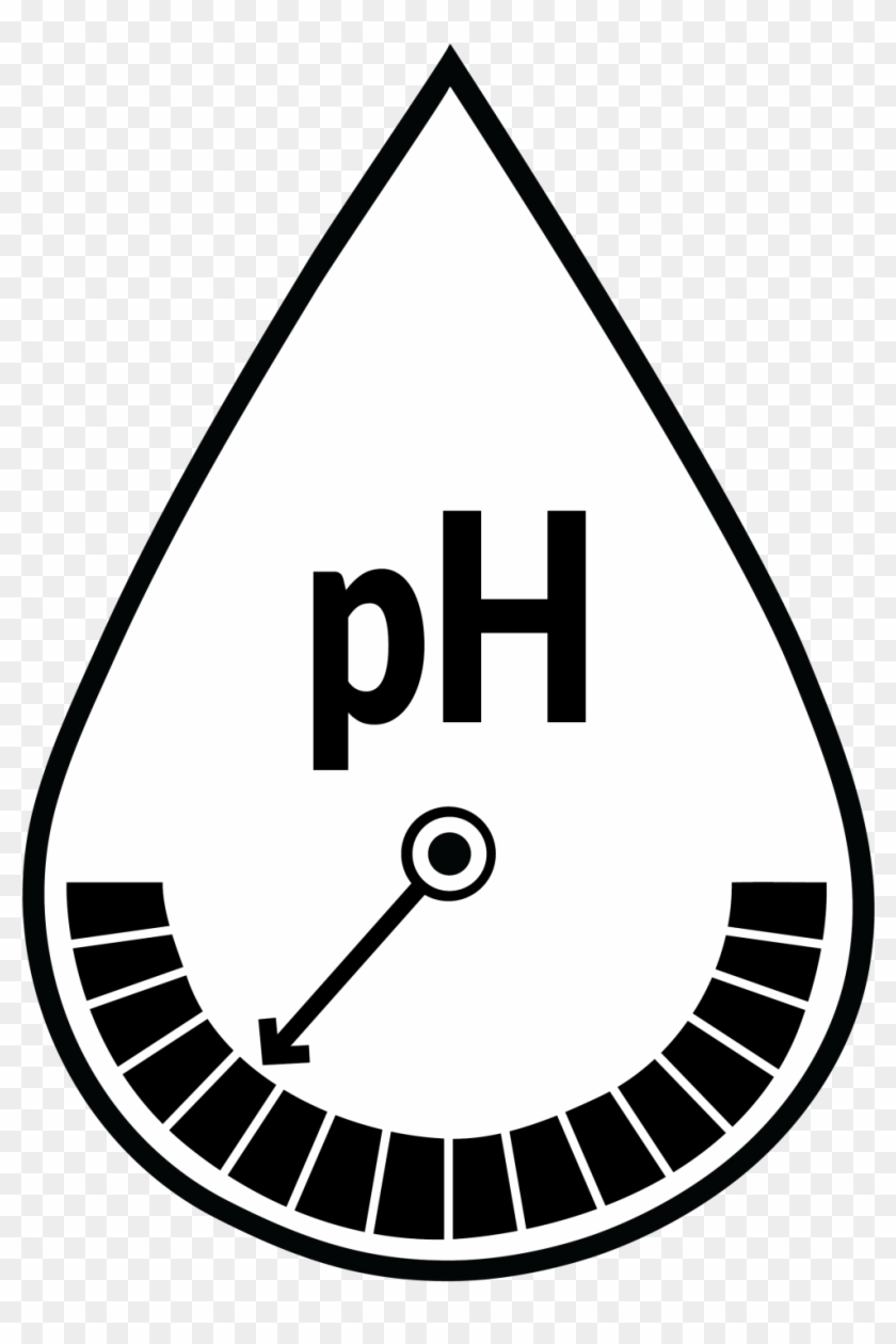 Ph Level Issues - Water Ph Icon Png, Transparent Png - 2048x2048 ...