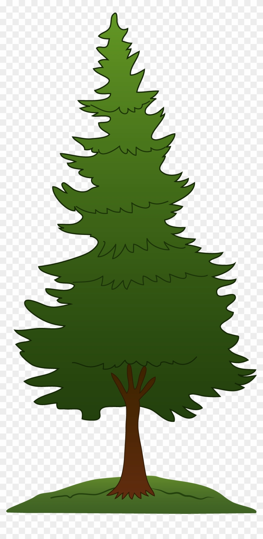 Green Pine Tree Design - Pine Tree Clipart, HD Png Download - 3256x6498 ...