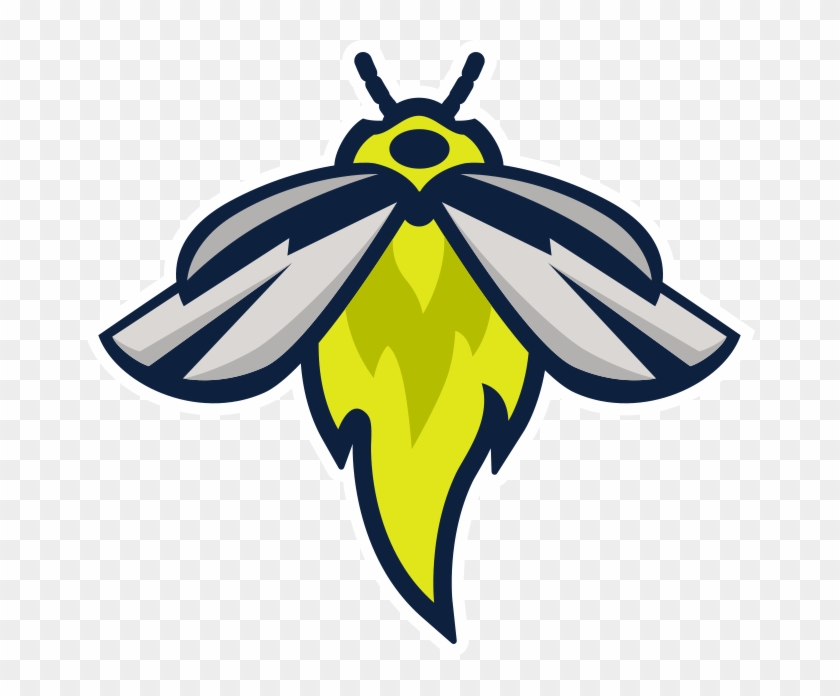 Registration Form - Columbia Fireflies Logo, HD Png Download - 671x616 ...