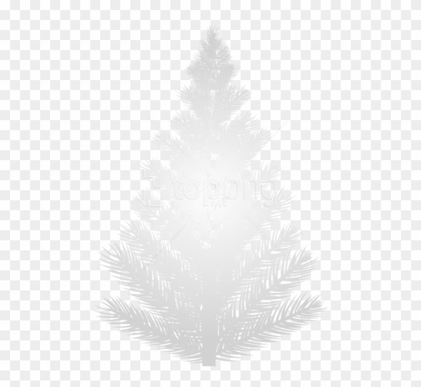 White Christmas Tree Png, Transparent Png - 480x693(#1777597) - PngFind