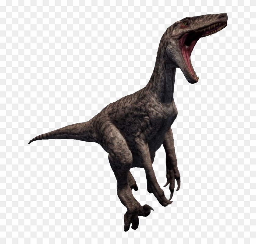 Raptor Png, Transparent Png - 714x778(#187959) - PngFind