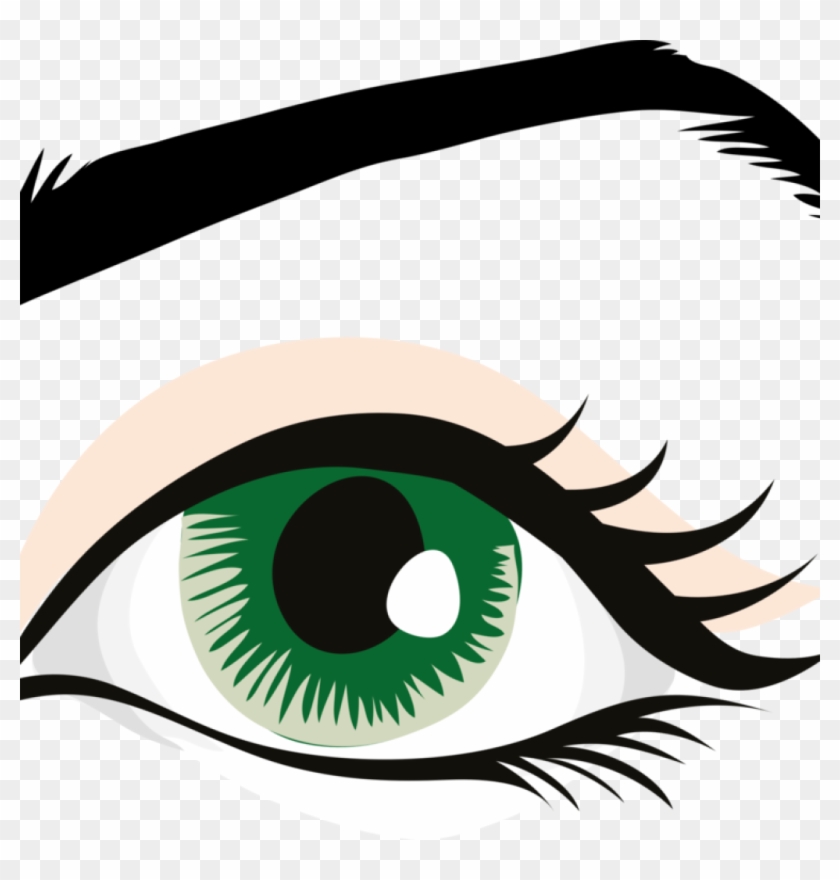 Human Eye Clip Art Human Eye Eyebrow Eyelid Organ Free - Eye With ...