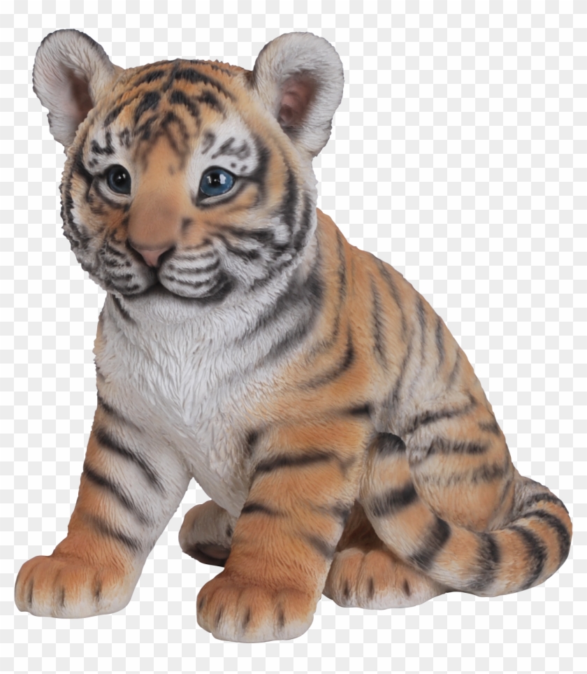 Baby Tiger Png - Baby Tiger Sitting, Transparent Png - 1566x1704 ...