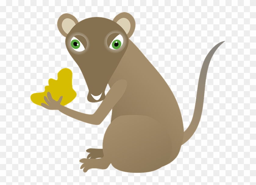 Cartoon Rodent, HD Png Download - 640x529(#1854362) - PngFind