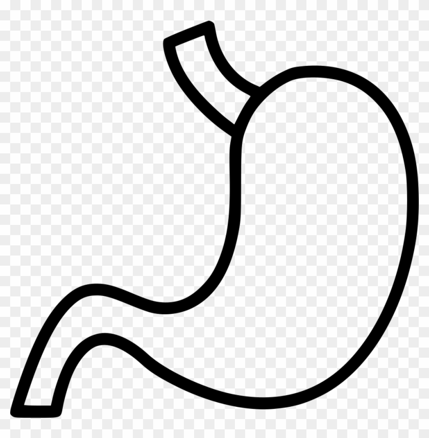 Png File - Stomach Icon Png White, Transparent Png - 980x954(#1854835 ...