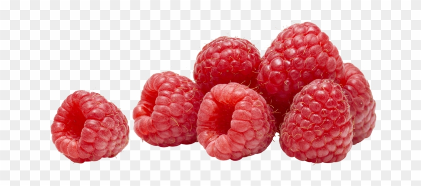 Raspberries Png, Transparent Png - 800x520(#1855824) - PngFind