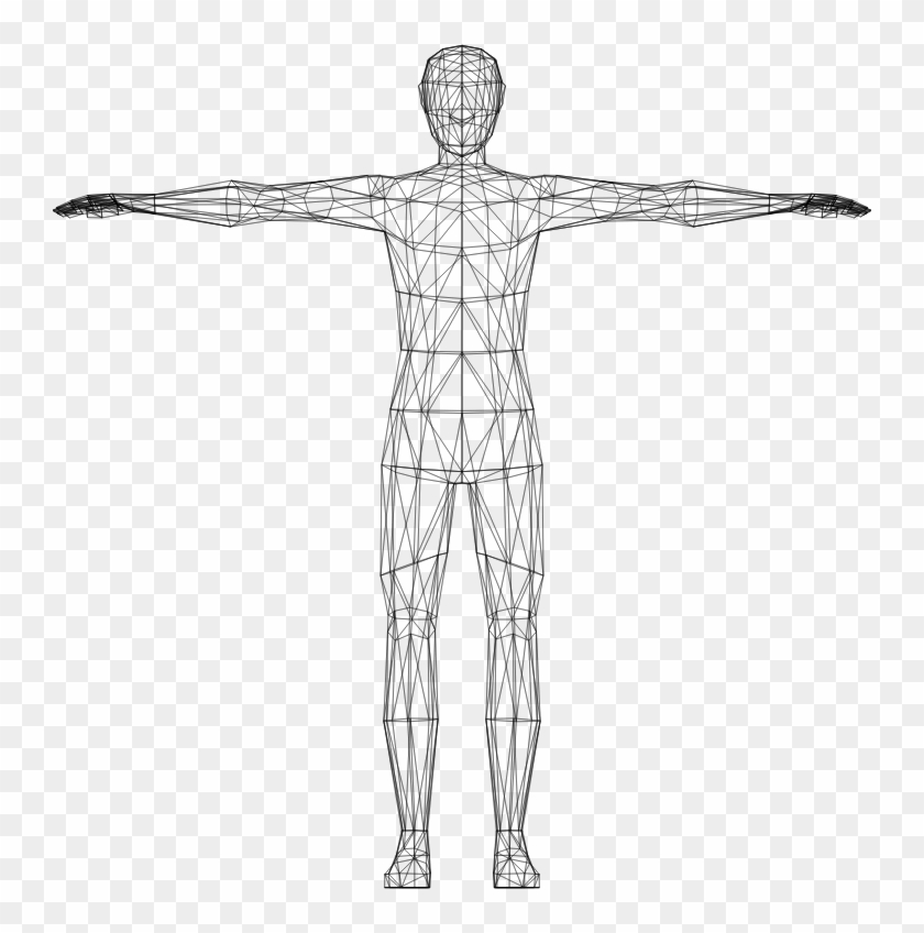 Medium Image - Human Body Clipart Transparent, HD Png Download ...