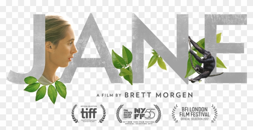 Free Screening Of Jane A National Geographic Film Documentary - Jane ...