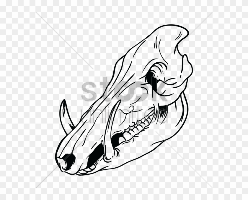 Boar Skull Tattoo