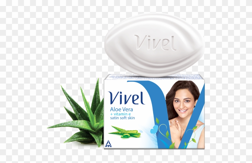 Its Invigorating Fragrance Keeps Your Skin Rejuvenated - Vivel Aloe ...