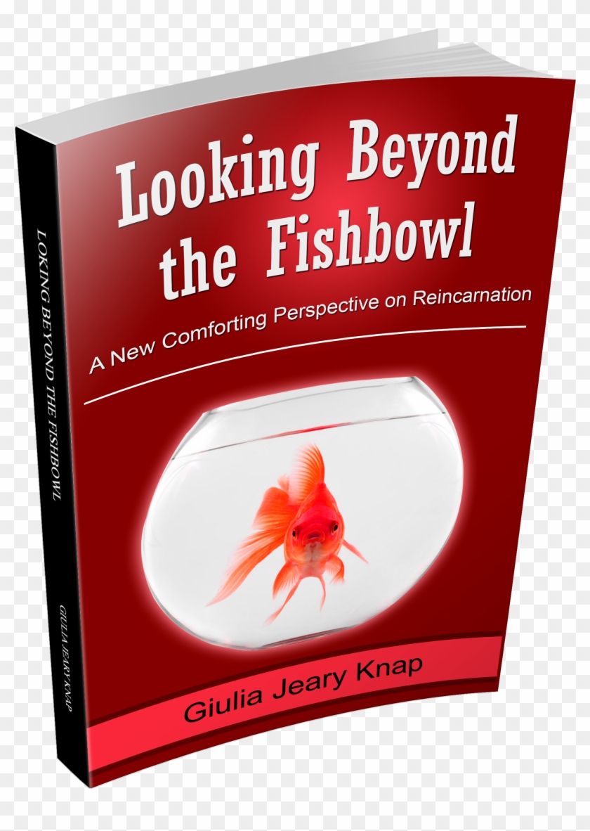 An Extract From Looking Beyond The Fishbowl - Book Cover, HD Png ...