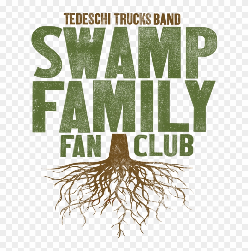 Swamp Png, Transparent Png - 900x900(#1930303) - PngFind