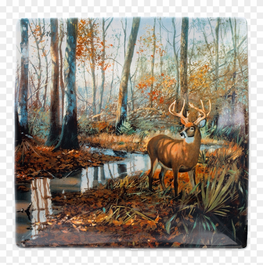 Swamp Png, Transparent Png - 842x797(#1930402) - PngFind
