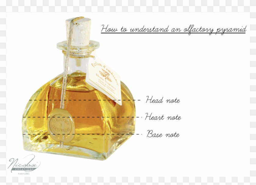 The Olfactory Pyramid Is The Structure Of A Perfume, - Perfume, HD Png ...