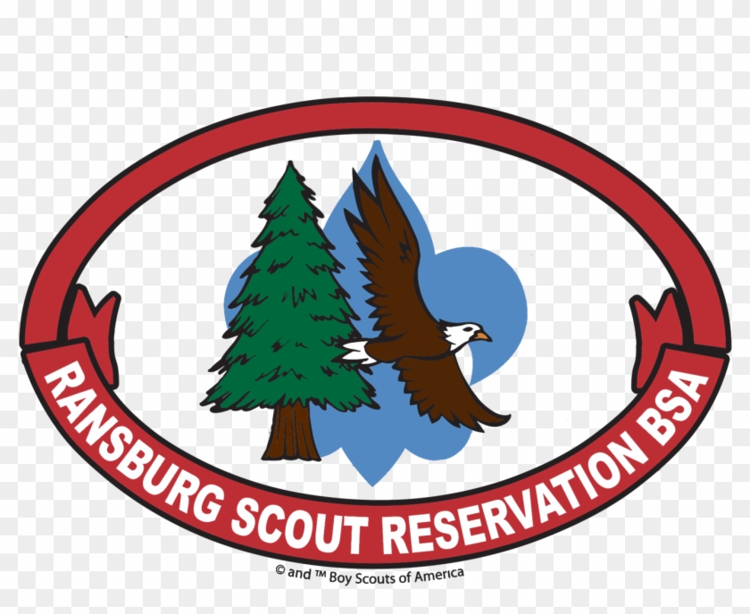 Bsa Logo Png, Transparent Png - 1500x1176(#1978669) - PngFind