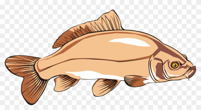 Fish Emoji Png, Transparent Png - 1495x750(#1981587) - PngFind