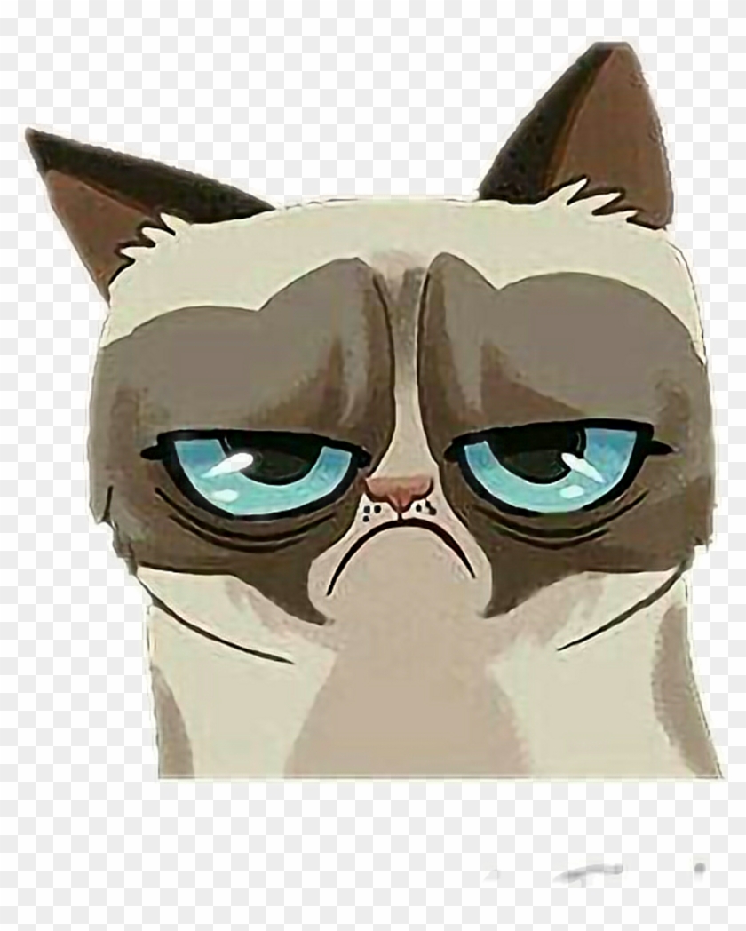 Angry Sticker, HD Png Download - 1024x1230(#1982517) - PngFind