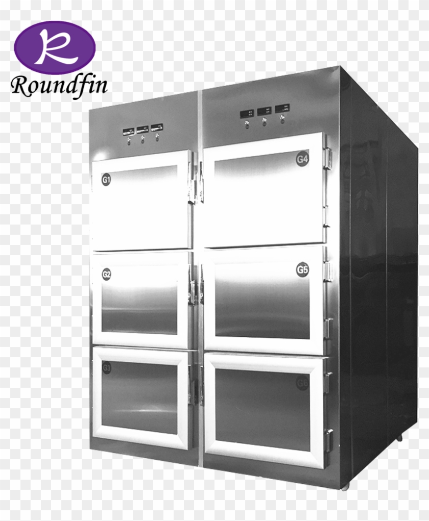 Roundfin Dead Body Fridge Cadaver Room Hospital Beds - Cadaver, HD Png ...