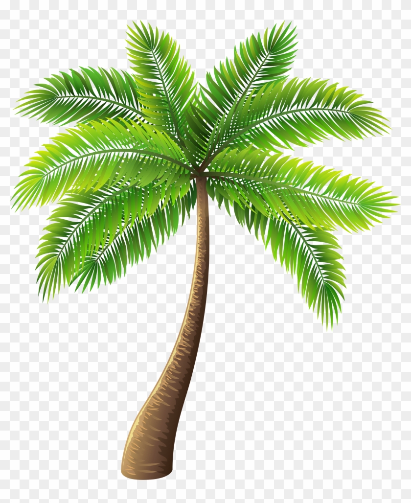 Palm Tree Png Clip Art - Palm Tree Png Transparent, Png Download ... Palm Tree Png Clip Art - Palm Tree Png Transparent, Png Download ...