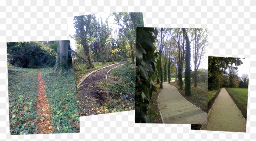 Walkway Png, Transparent Png - 1000x500(#2009242) - PngFind