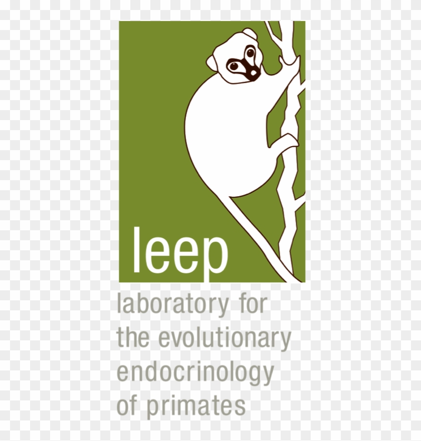 Leep Logo Web Transparent - Ifpma, HD Png Download - 390x809(#2054505 ...