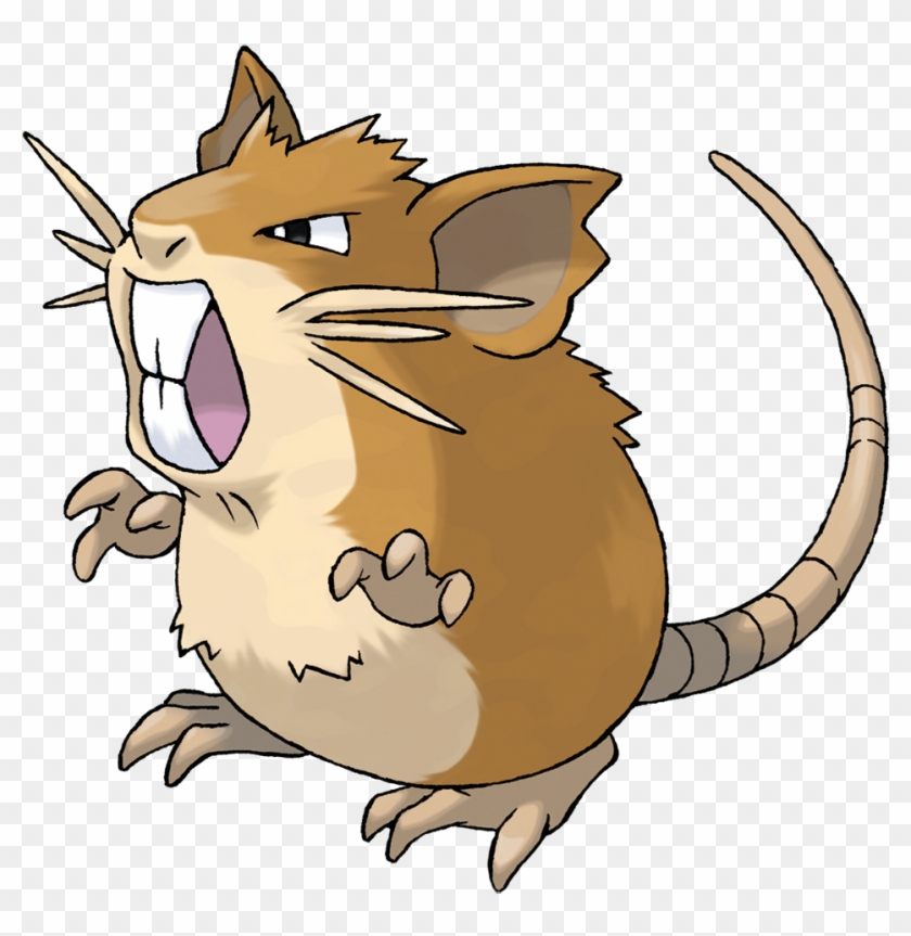 Raticate - Rattata Pokemon, HD Png Download - 957x957(#2060313) - PngFind