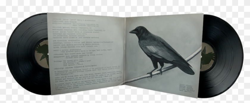 Old Crows / Young Cardinals - Alexisonfire Old Crows Young Cardinals ...