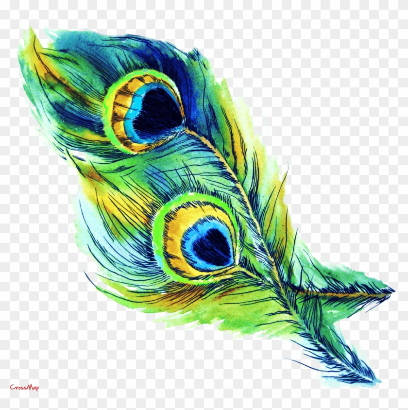 Free Icons And Png Backgrounds - Peacock Leaf Hd Png, Transparent Png ...