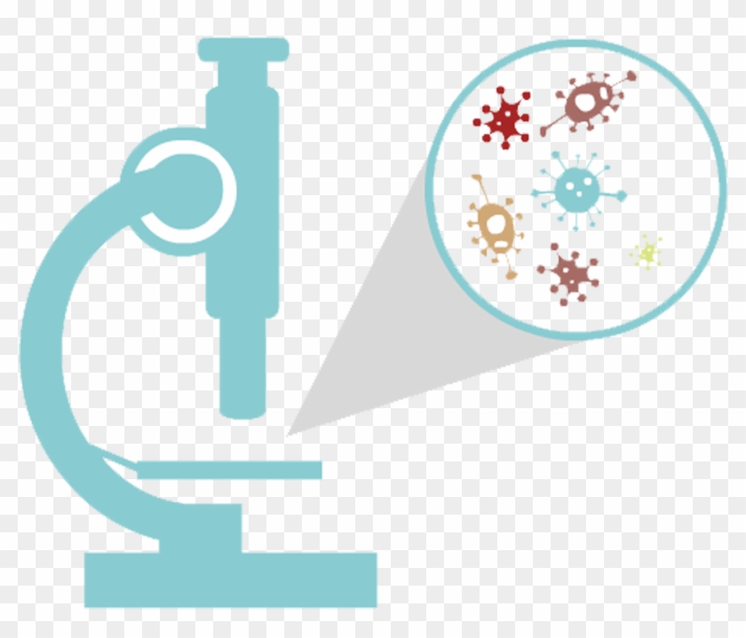 Cells Microbiology Clipart