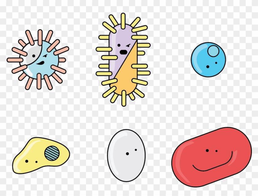 1201 X 705 4 - Bacteria Cartoon Transparent Background, HD Png Download ...
