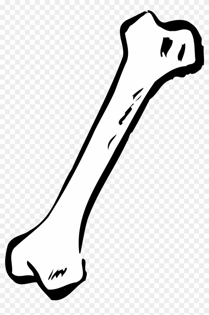 Bone Free Png Image - Bone Png, Transparent Png - 1200x1728(#219837 ...