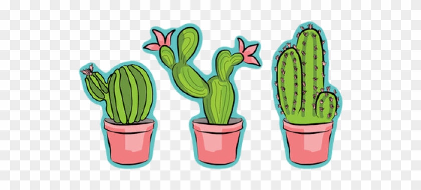 Cactus Clipart Little - Cactus Png, Transparent Png - 640x480(#2170329 ...