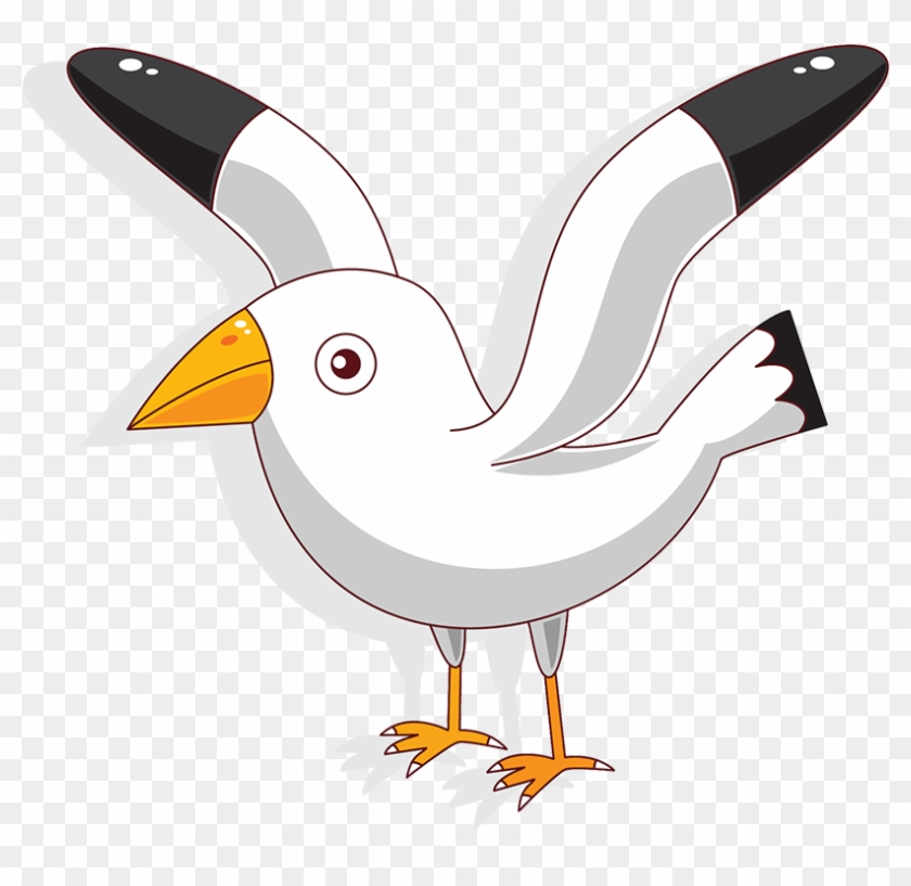 1200 X 1200 6 - Cartoon Sea Bird, HD Png Download - 1200x1200(#2186217 ...