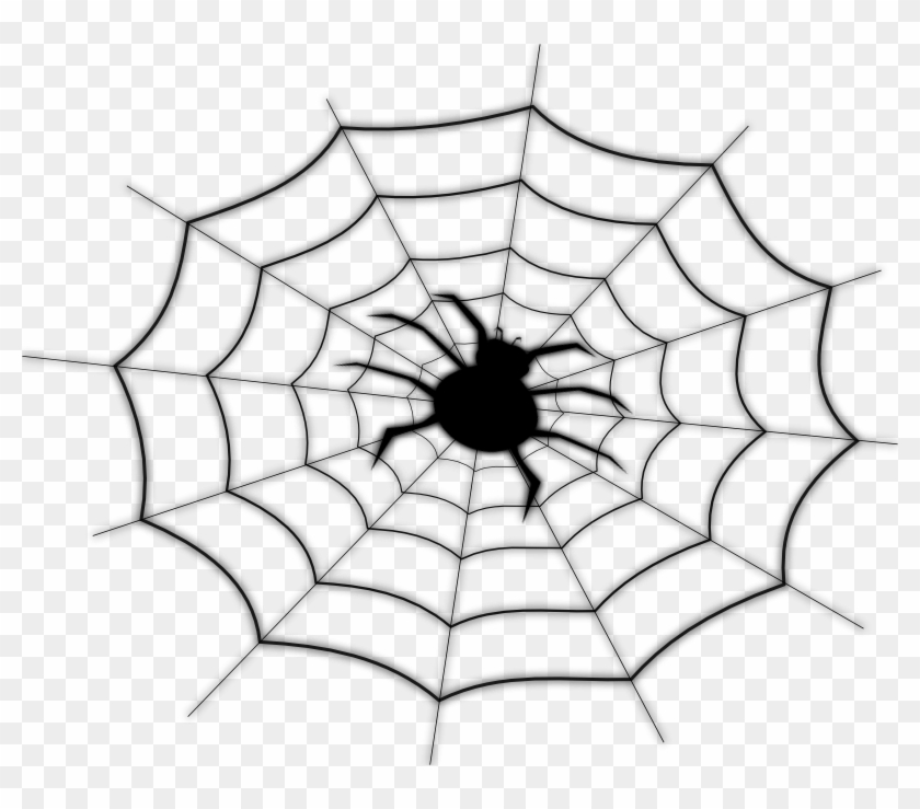 Spider On Spider Net - Spiderman Drawing Web, HD Png Download - 800x659 ...