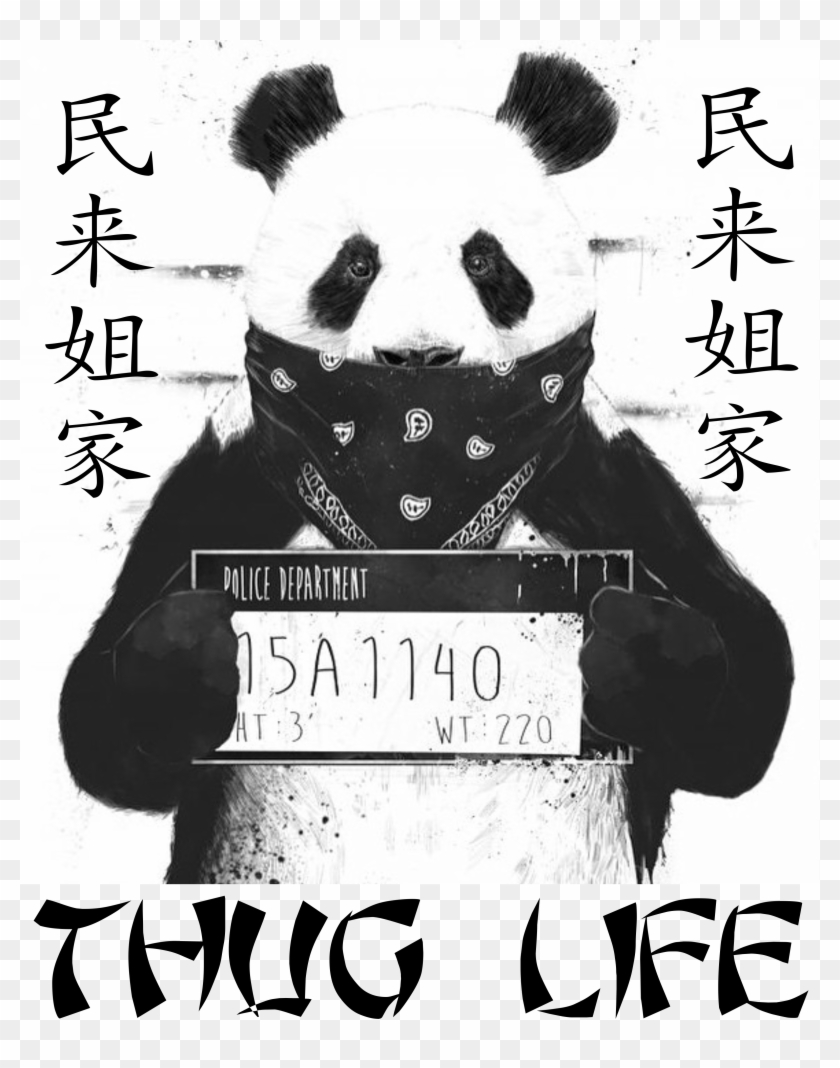 Panda Prisoner, HD Png Download - 3161x3870(#2239853) - PngFind